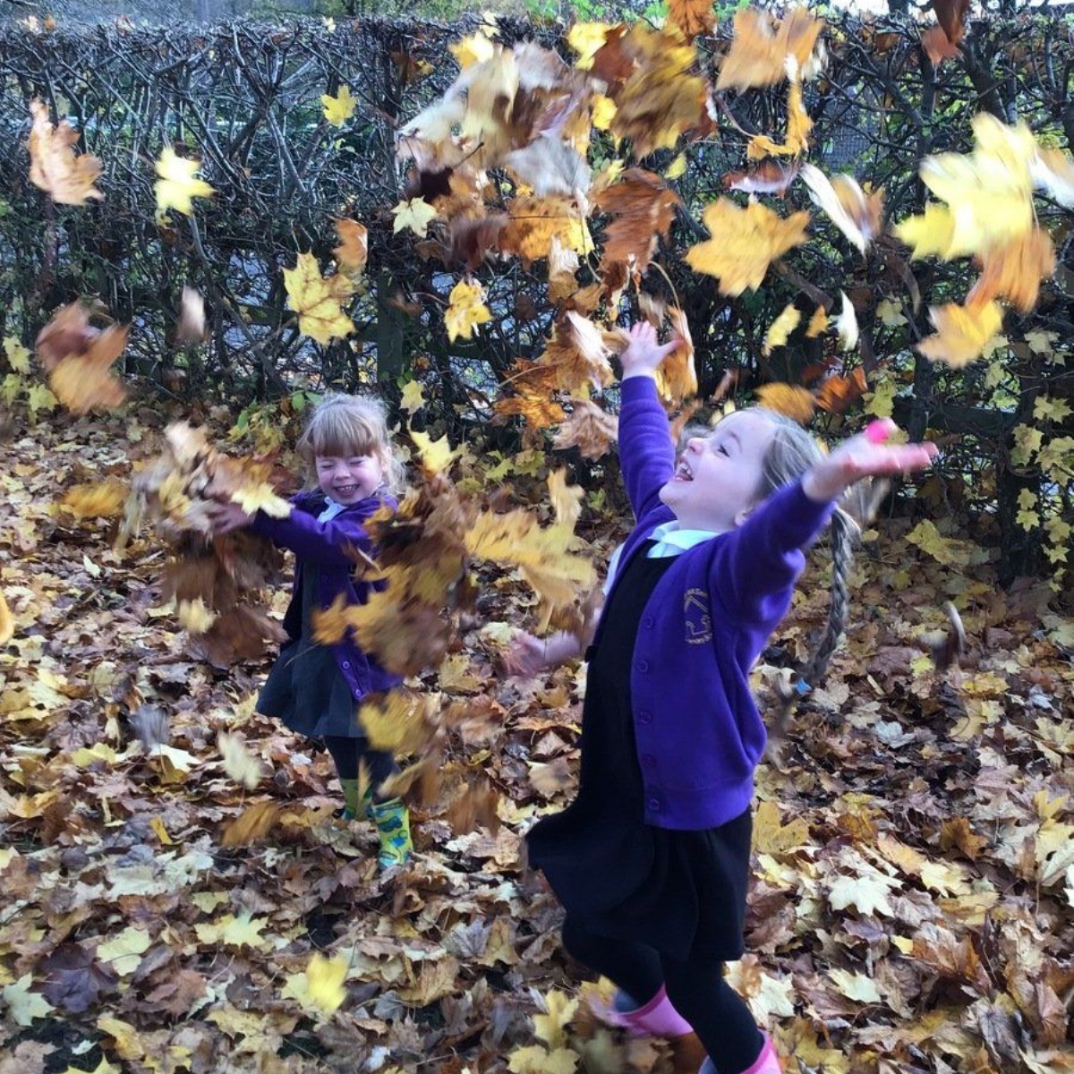 Collaborative Learning Trust - Inspection recognises Trust impact